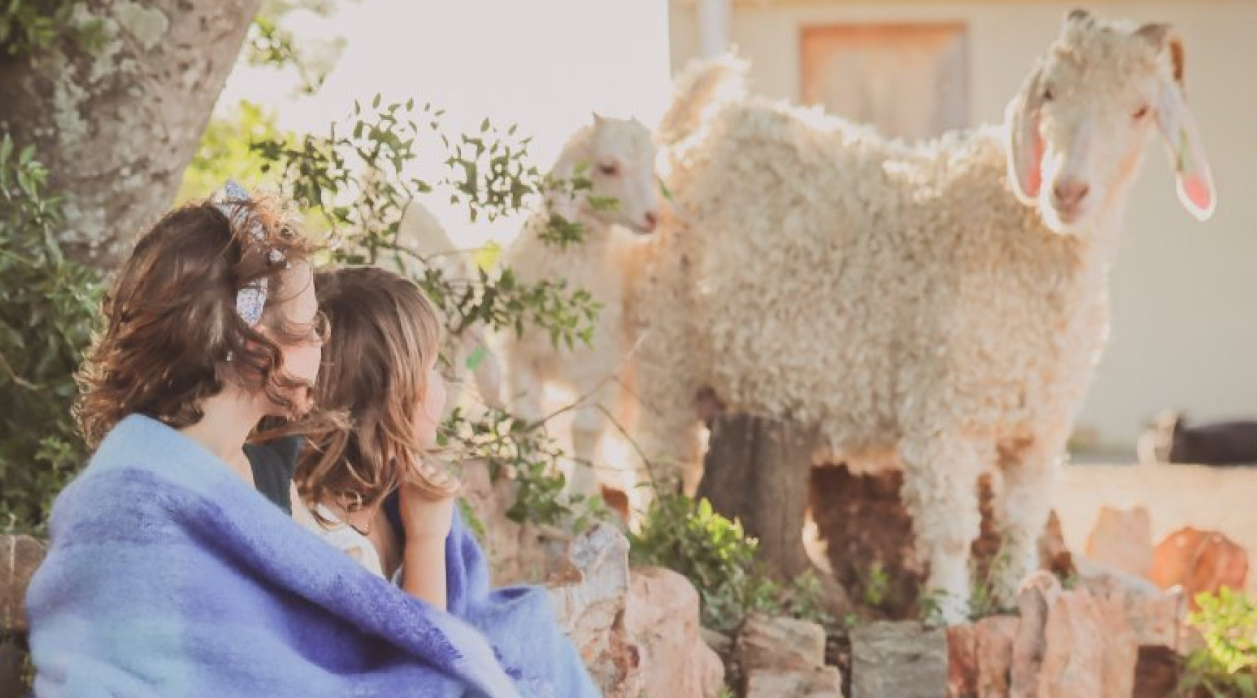 Otago Spring Mohair Throw | The Glamorous Goat